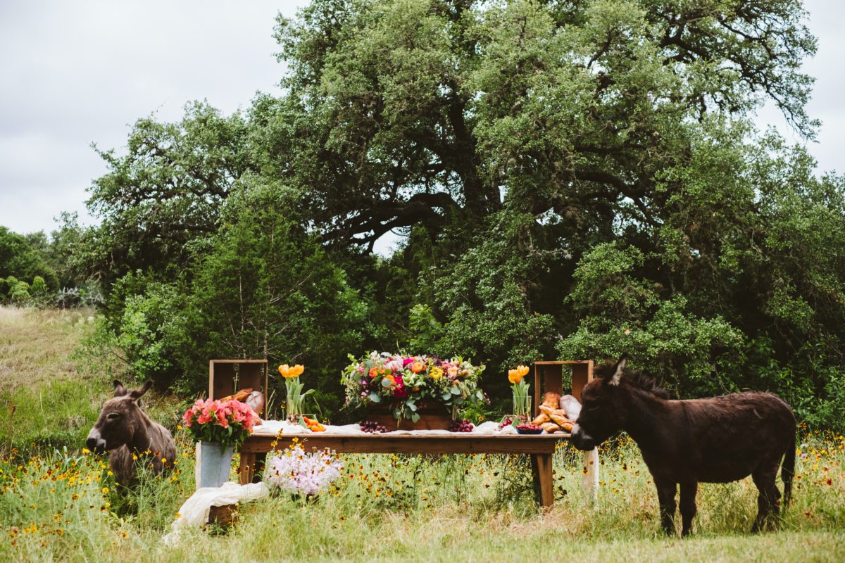Beverage Donkeys - A Lot of Love and a Cheers